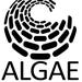 Algae Growing Kit. - Etsy