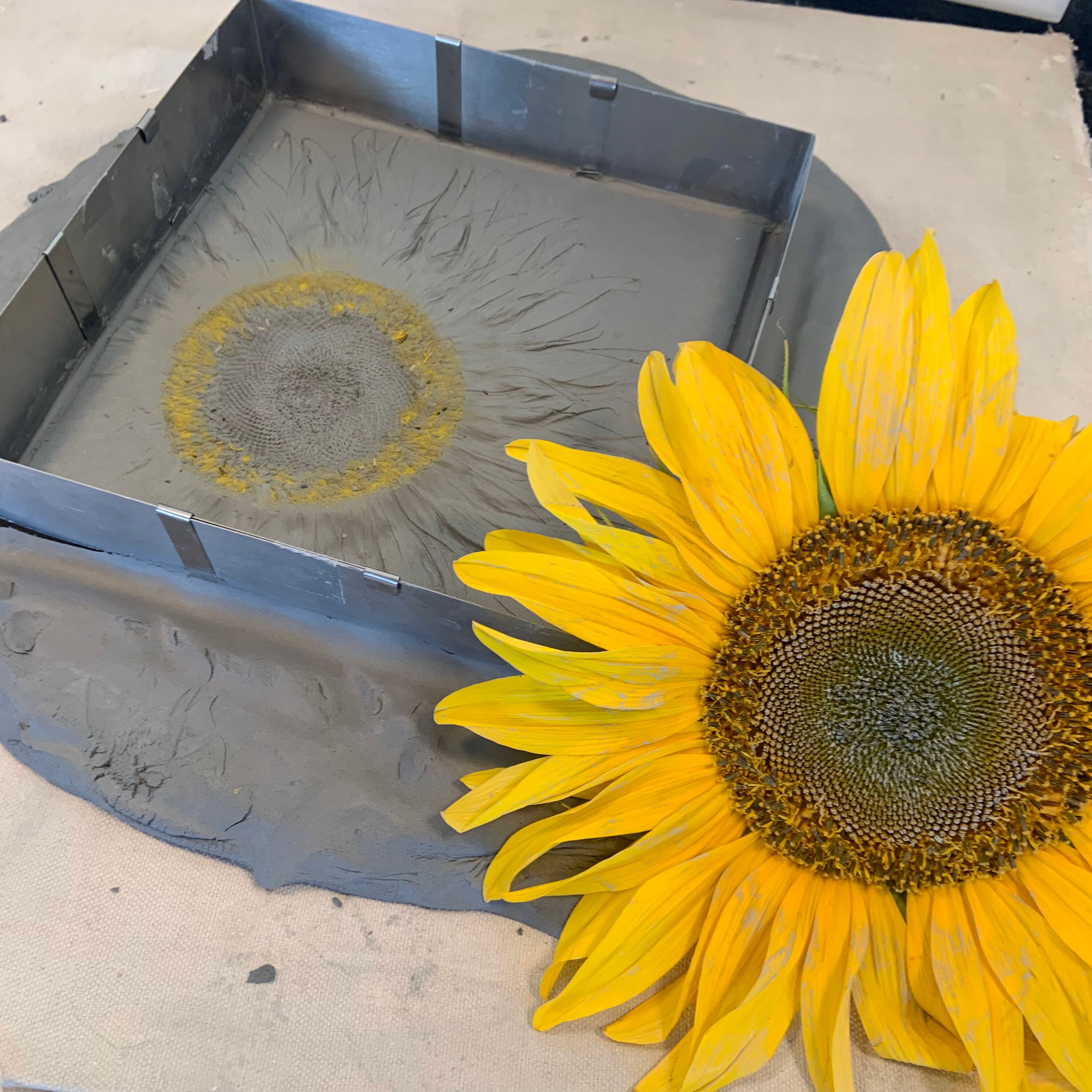 Sunflower Botanical Bas-Relief | Etsy