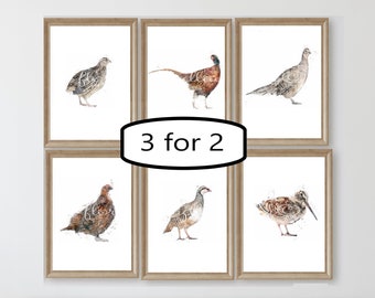 Bird Print Art - Etsy