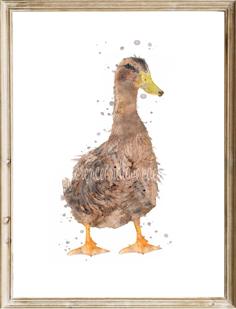 Watercolour Duck Prints, Duck Painting, Duck Gifts, Set of Duck Prints ...
