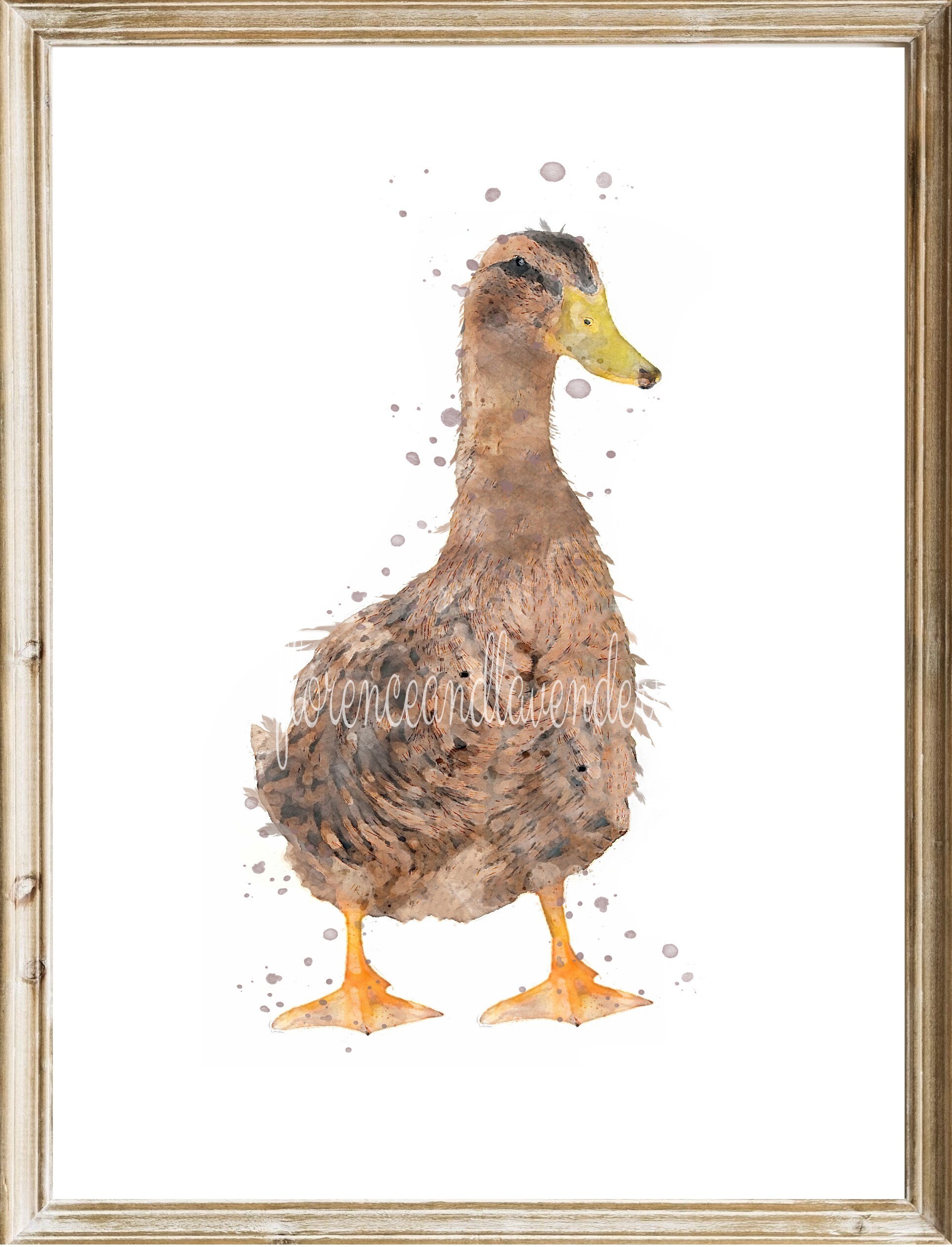 Watercolour Duck Prints, Duck Painting, Duck Gifts, Set of Duck Prints ...