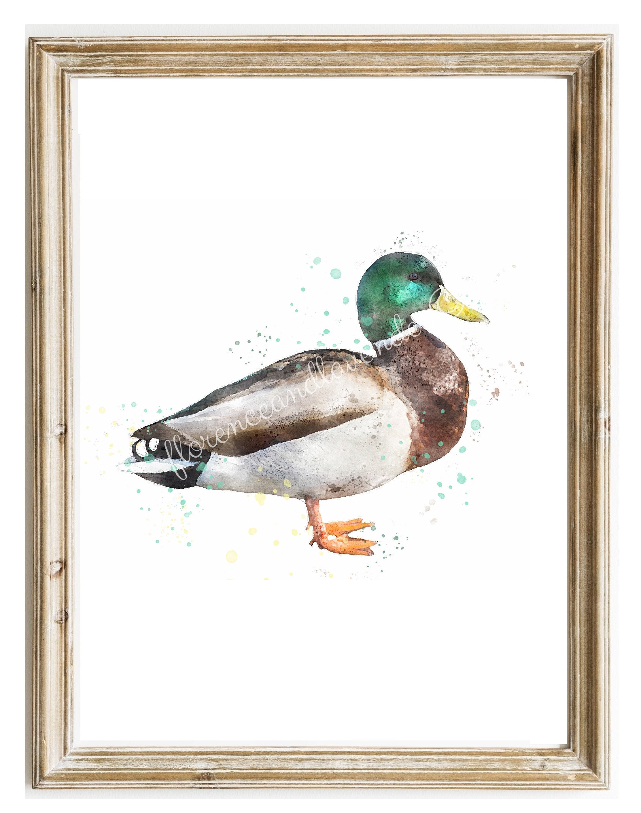 Watercolour Duck Prints Duck Painting Duck Gifts Set of | Etsy