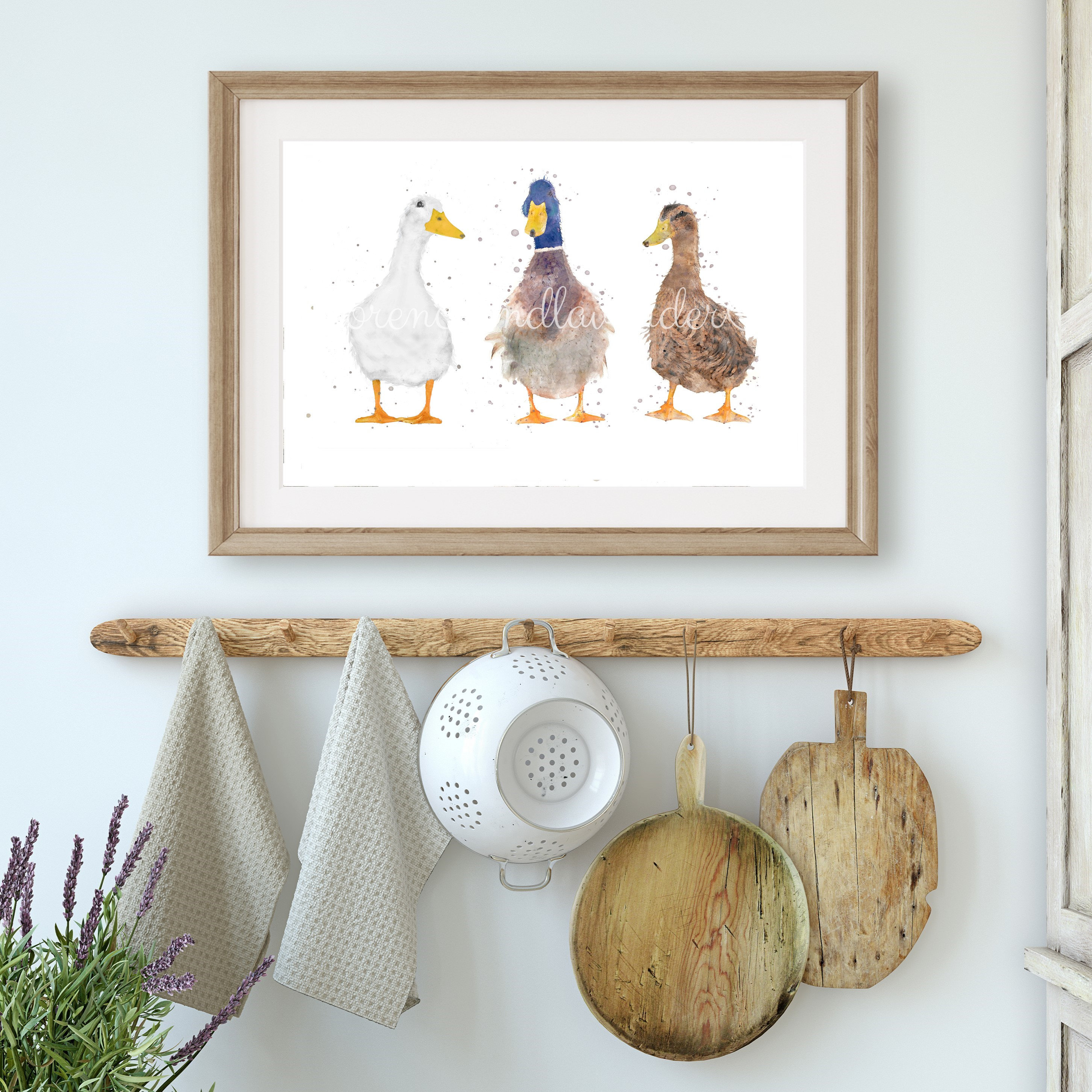 Watercolour Duck Print Trio of Duck Prints Duck Wall Art - Etsy