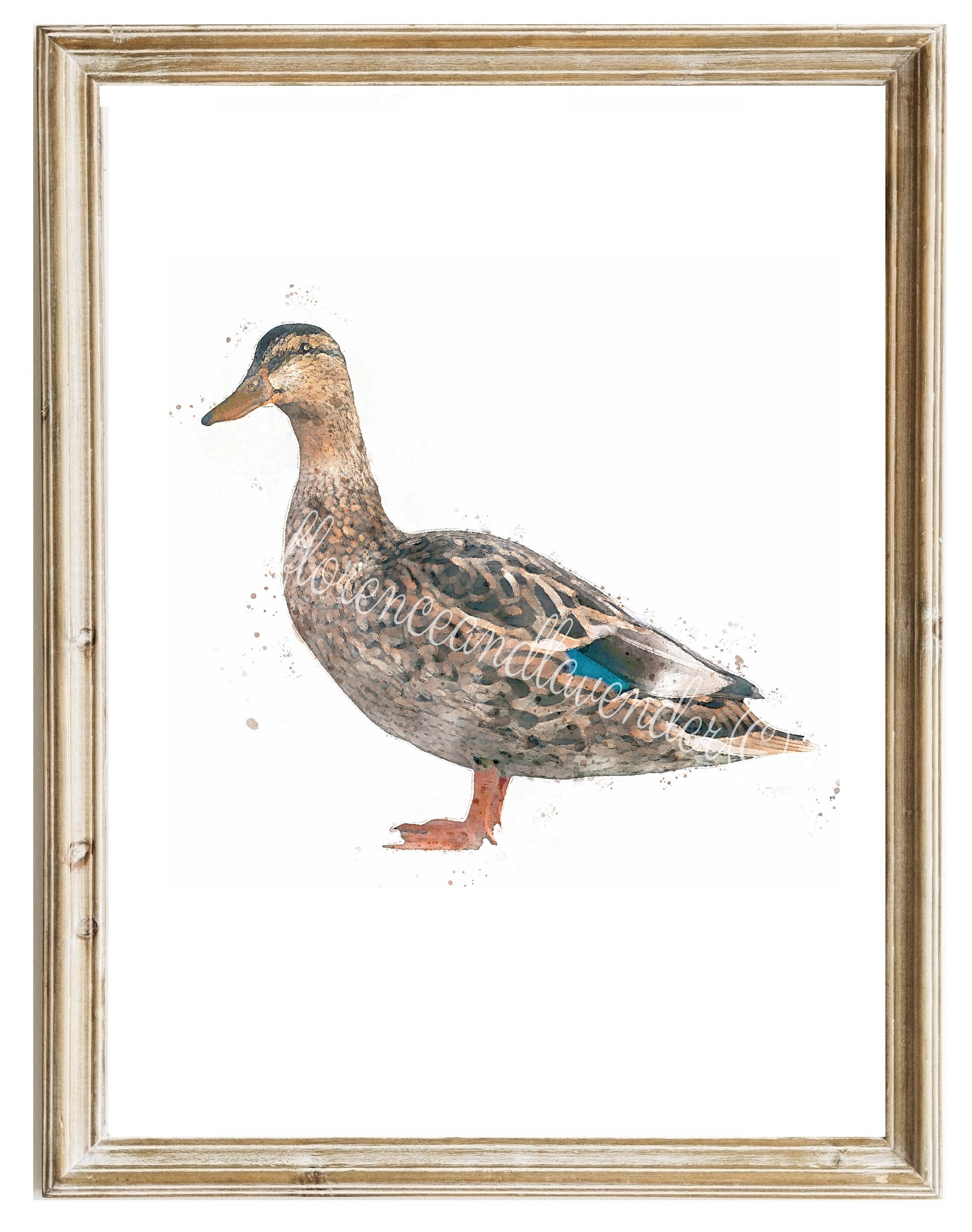 Watercolour Duck Prints Duck Painting Duck Gifts Set of | Etsy