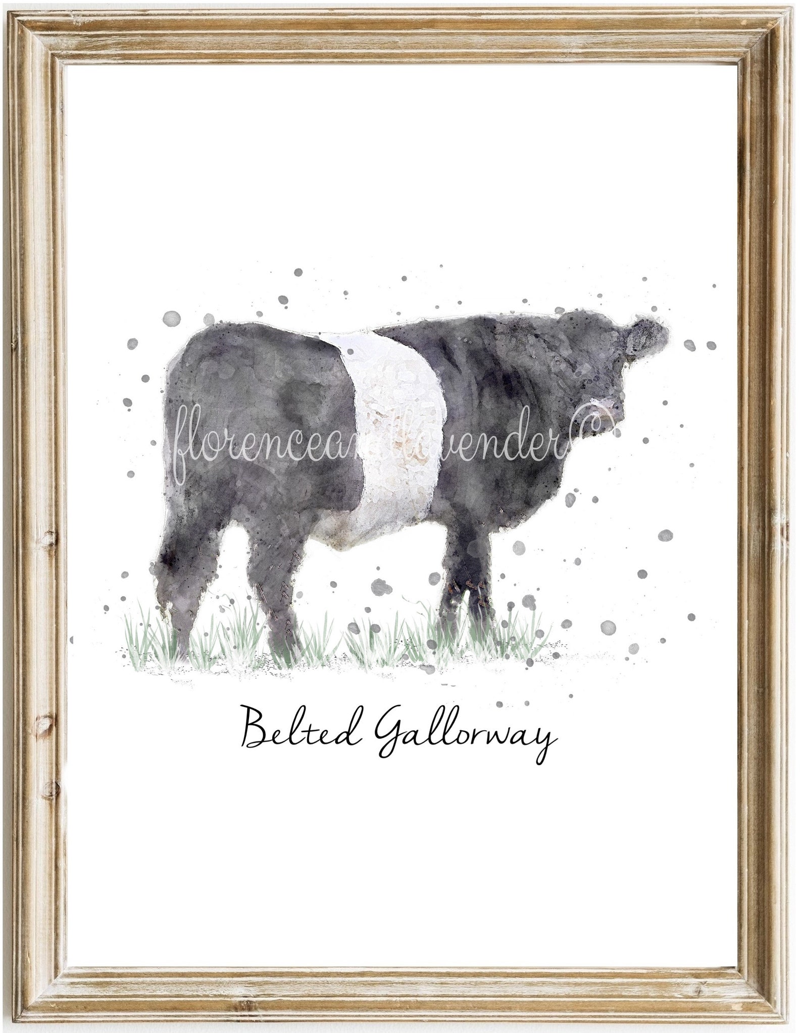 Watercolour Cow Wall Art Prints, Set of Cow Prints, Cow Gift, Cow ...