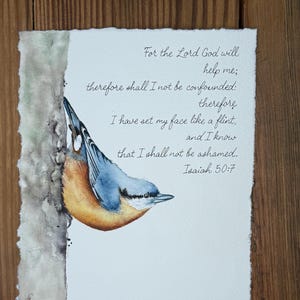 Isaiah 50:7 the Lord God With Help Me, Nuthatch Bird Original ...