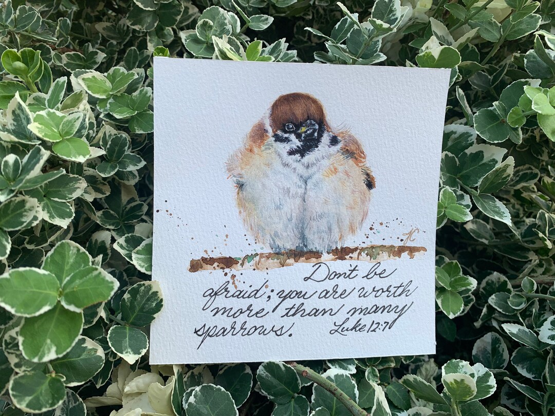 Luke 12:7 Mini 5x5 Watercolor Painting, Sparrow, Worth More Than Many ...