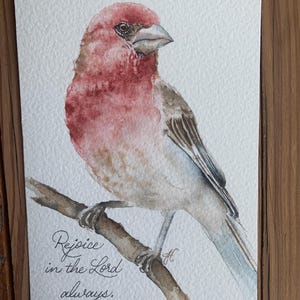 Red Finch, Philippians 4:4, Rejoice in the Lord Always, Bird Painting ...