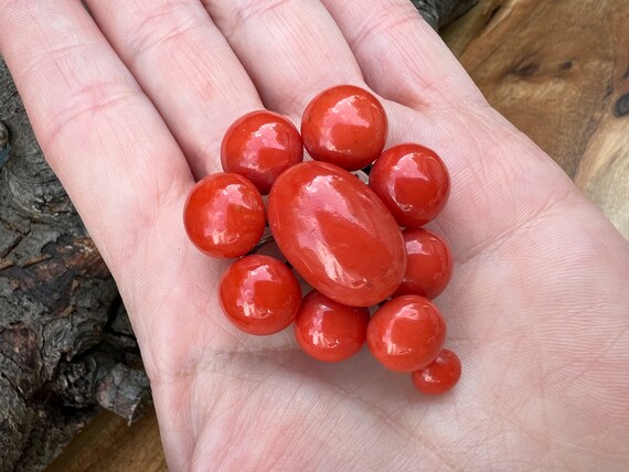 Victorian Coral Pin, Victorian Coral Brooch, Coral Cl… - Gem