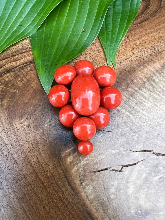 Victorian Coral Pin, Victorian Coral Brooch, Coral Cl… - Gem