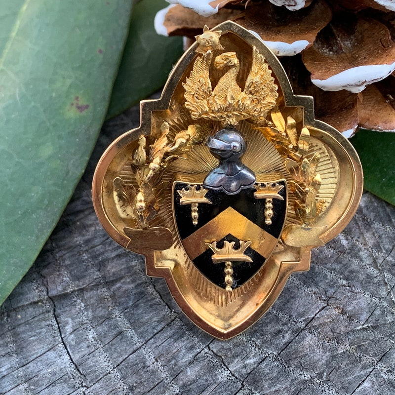 Coat of Arms Pin - Etsy
