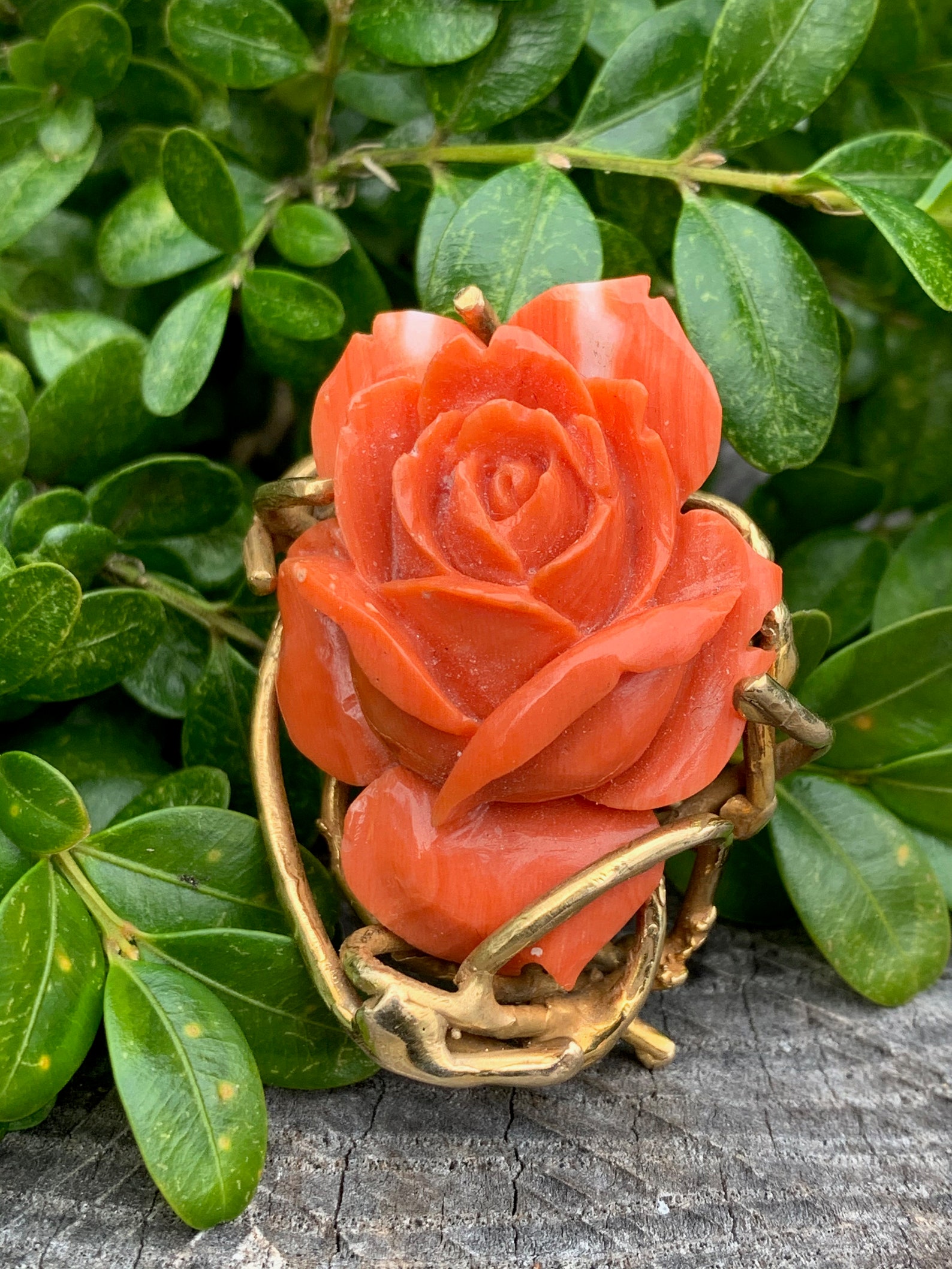 Coral Rosebud Pin Gold Coral Rose Craved Coral Rose Coral - Etsy