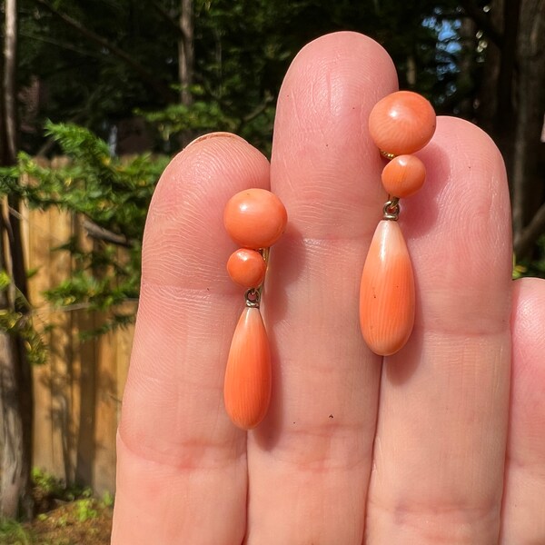 Coral Earrings - Etsy