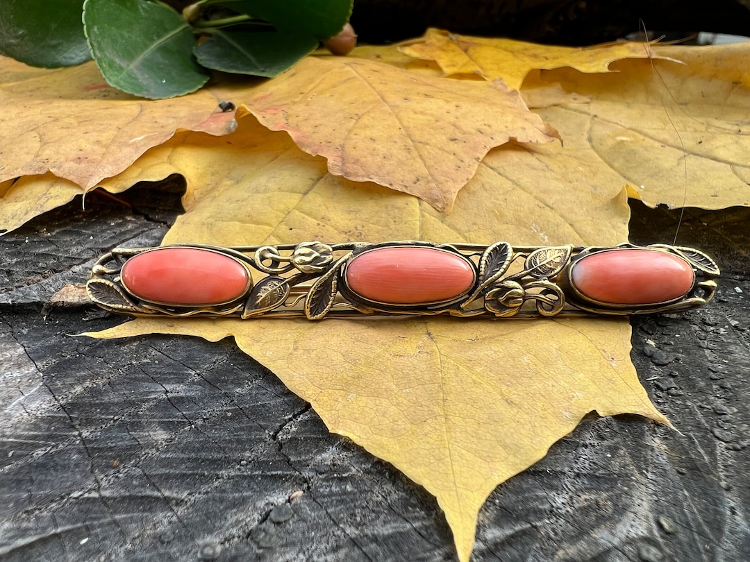 Victorian Coral Pin, Coral Bar Pin, Coral Cluster Pin, Coral Brooch - Etsy