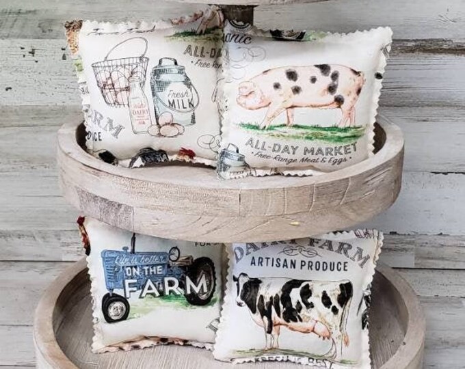 Farmhouse Pillows / Mini Farm Pillow / Tier Tray Pillow/ - Etsy