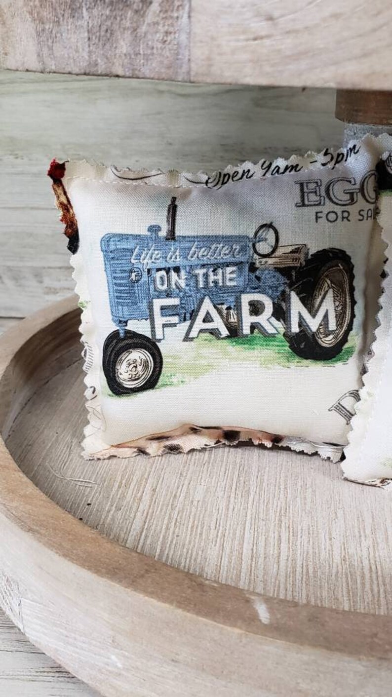 Farmhouse Pillows / Mini Farm Pillow / Tier Tray Pillow/ - Etsy