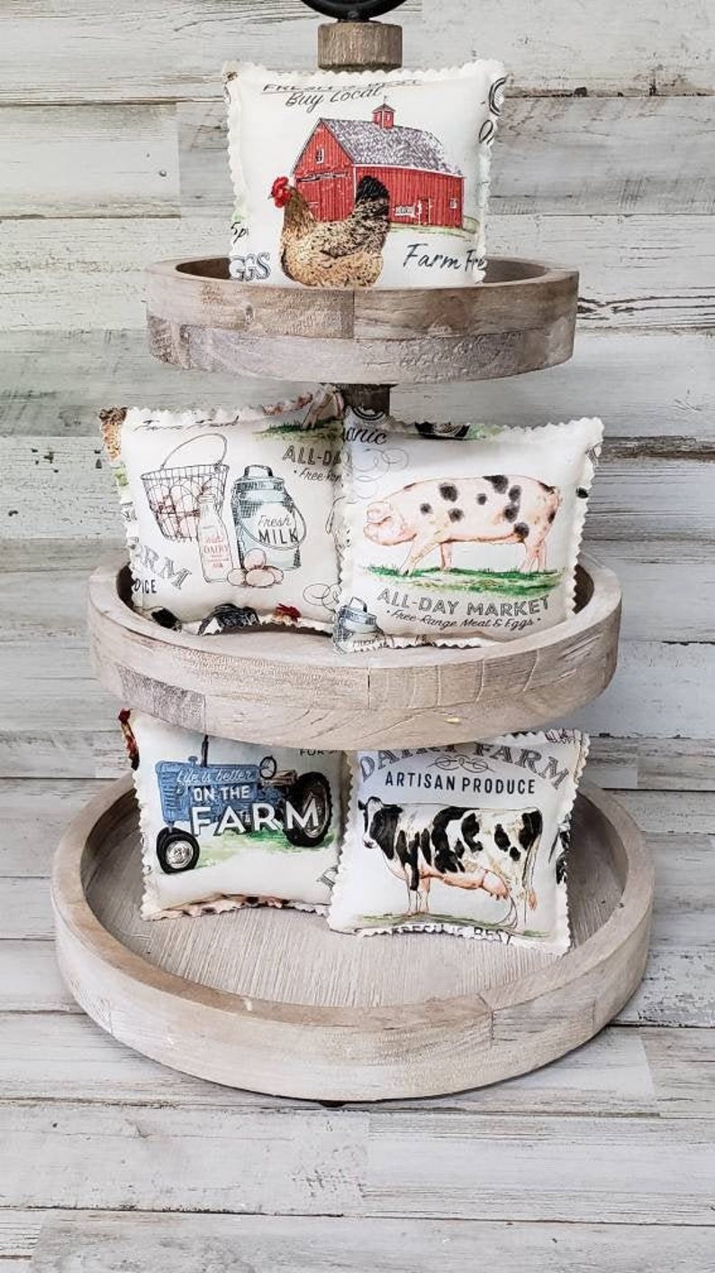 Farmhouse Pillows / Mini Farm Pillow / Tier Tray Pillow/ - Etsy