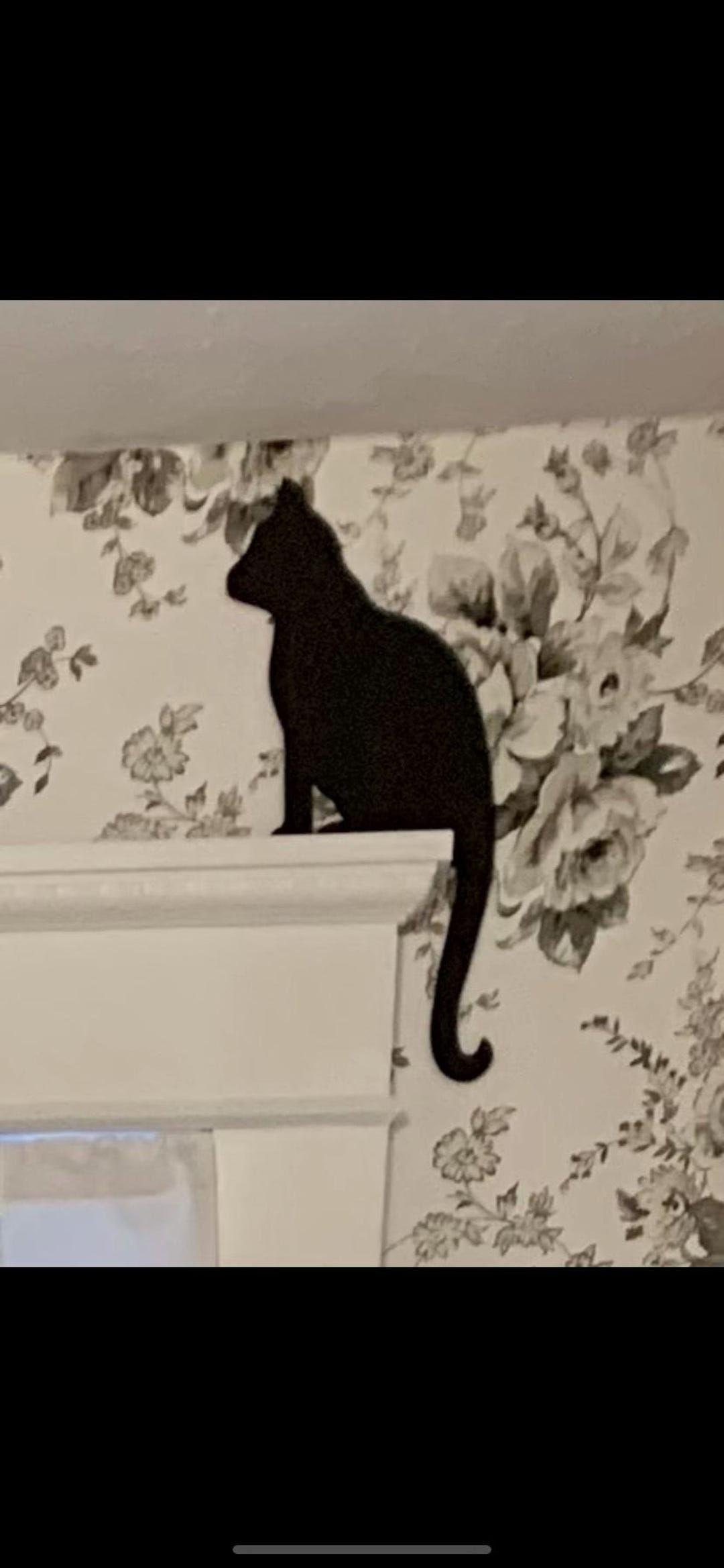 Sammy the Cat - Etsy