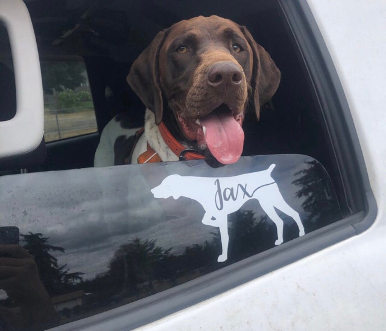 German Shorthaired Pointer Vinyl Decal With Custom Name GSP | Etsy