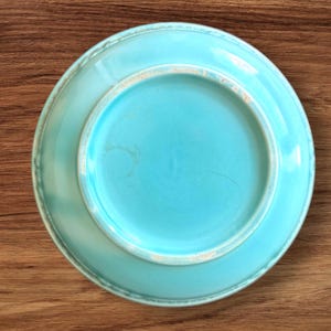 Antique Homer Laughlin Orange Tree Robin's Egg Turquoise Aqua Blue 10 ...