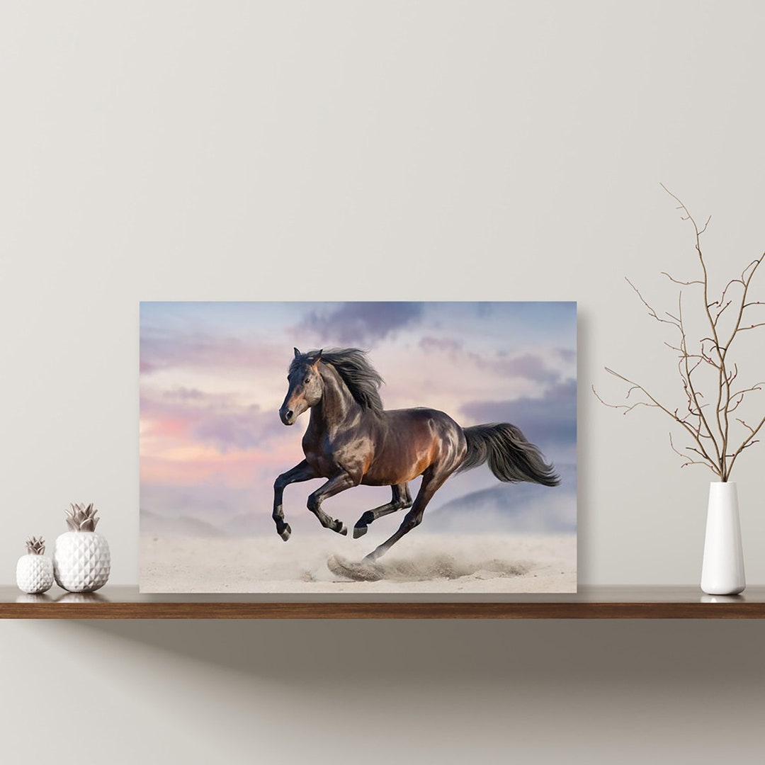 Bay Horse Run Gallop in Desert Sand Canvas Wall Art | Décor for Home ...