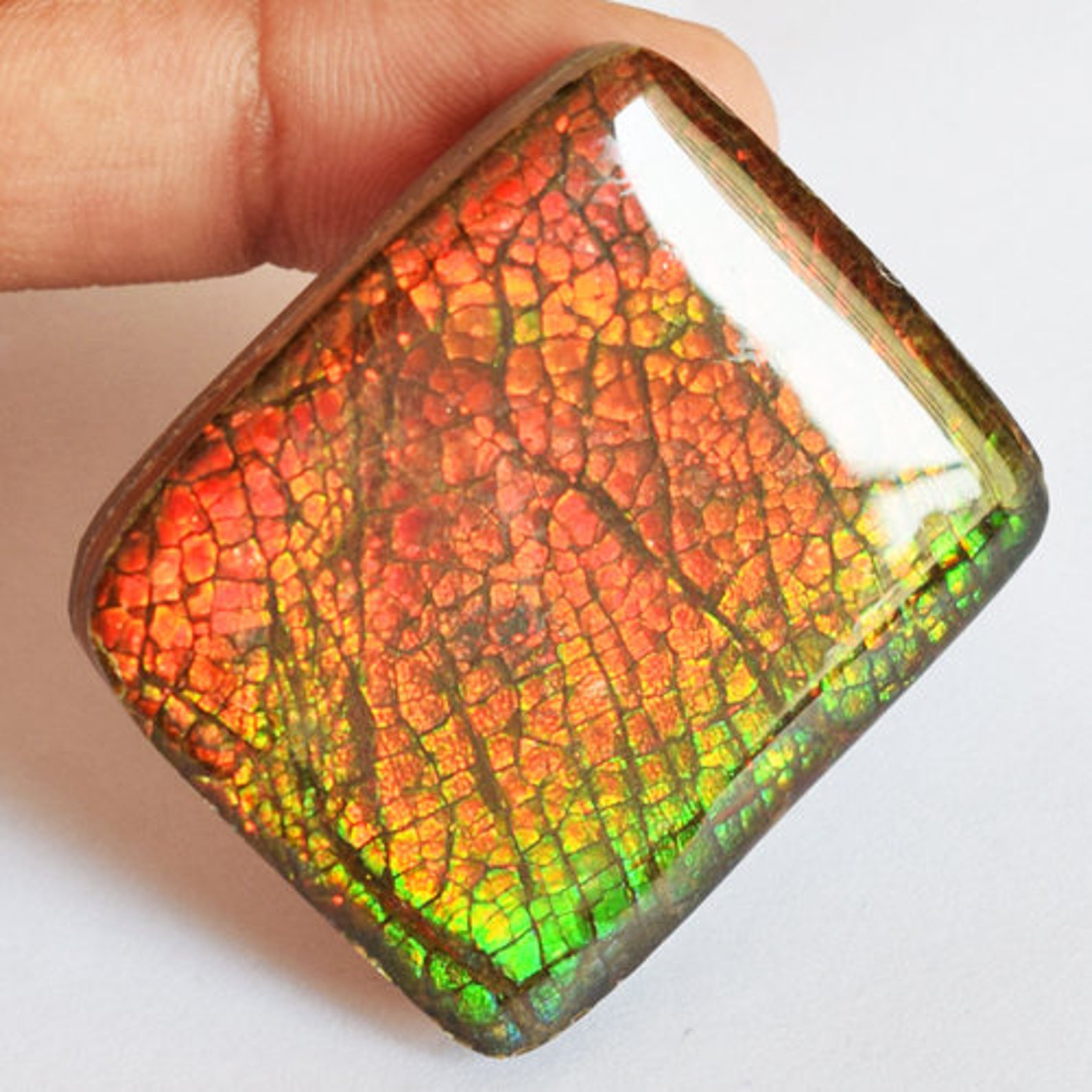 Very Rare & Beautiful Ammolite Gemstone Ammolite Cabochon | Etsy