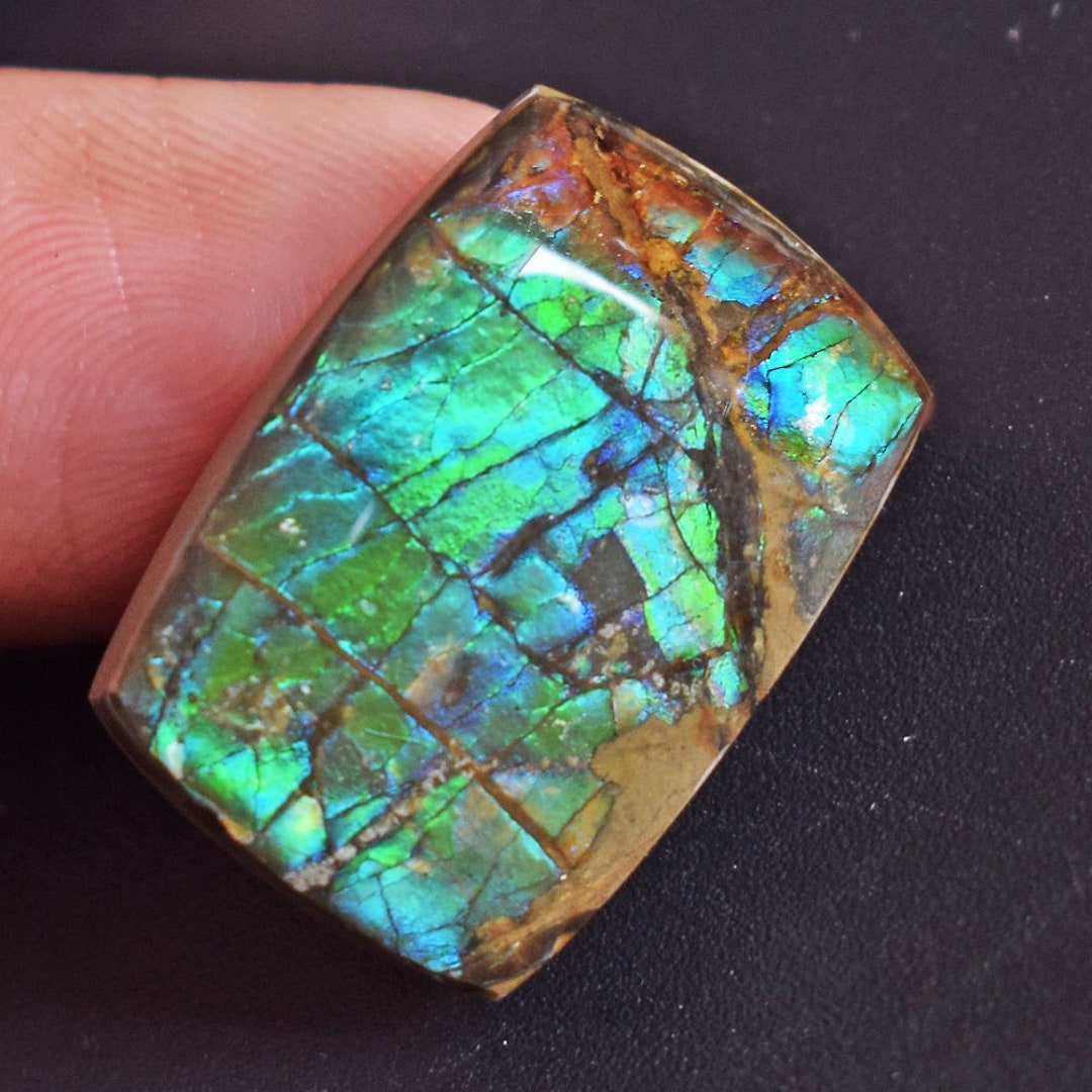Canadian Ammolite Cabochon, Blue Green Fire Stone, DIY Jewelry (22x15x6 ...