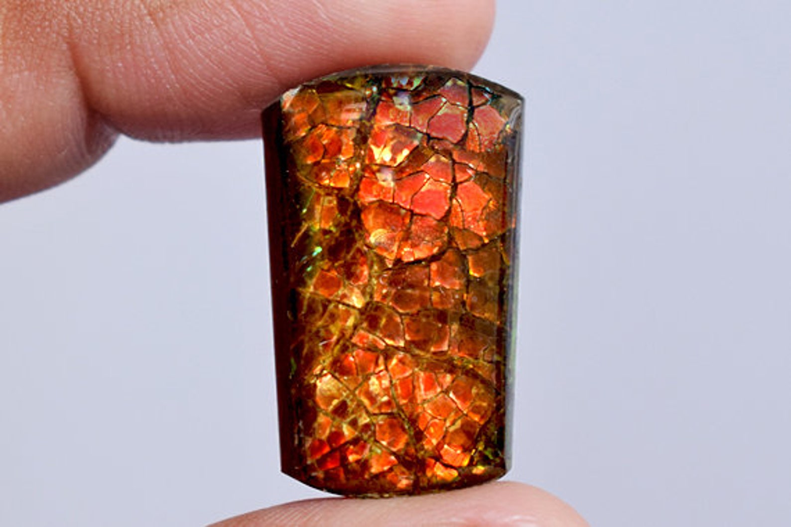 Natural Ammolite Cabochon Red Fire Ammolite Flat Back Size - Etsy UK