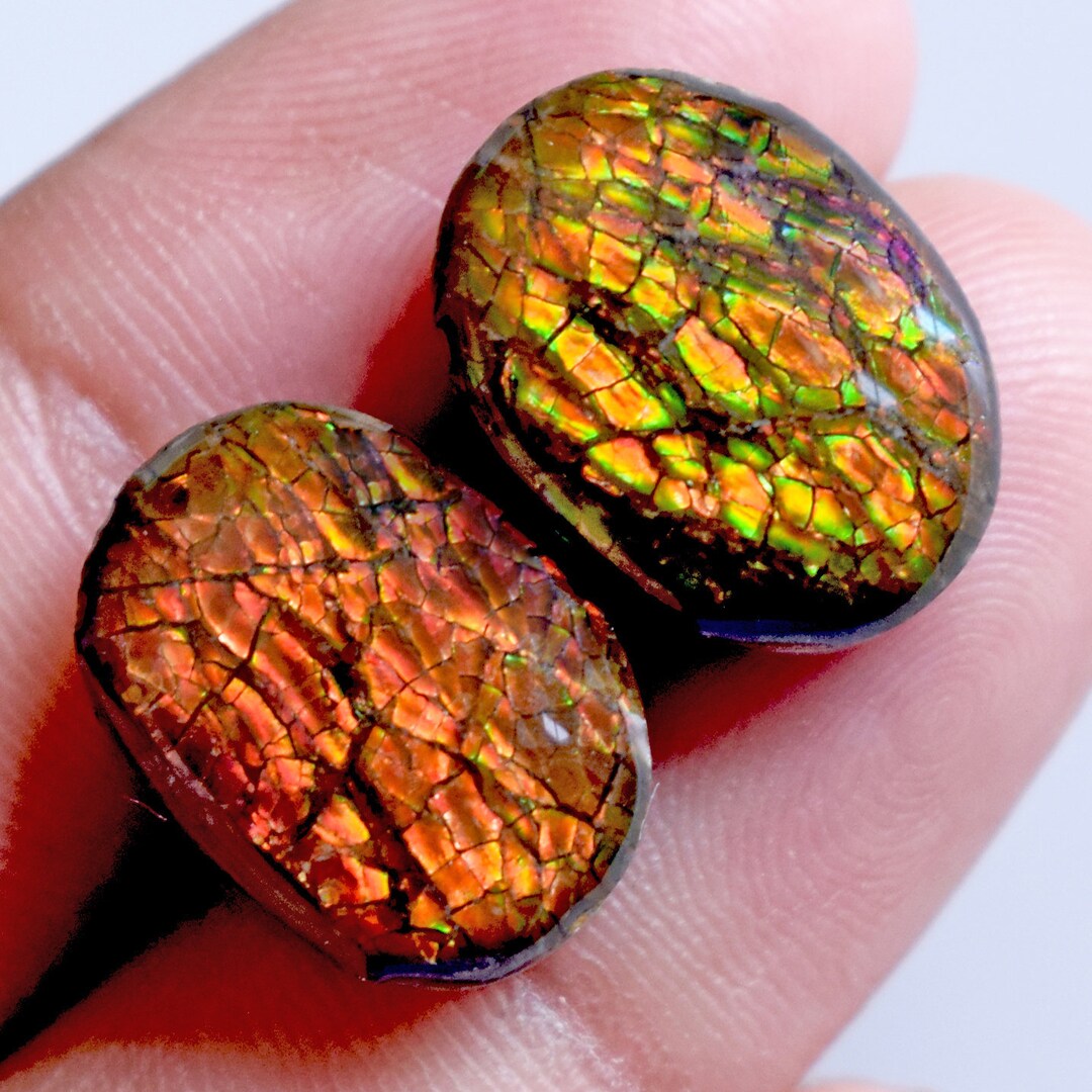 Red Fire Ammolite Gemstone Cabochons, Flat Back Oval Pair - Etsy
