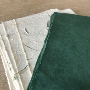 Small Pieces Forest and Karuki Grass Paper, Himalayan Paper, Forest ...