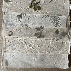 Mixed Leaf Full/half Sheets Leafy Papers, 20 X 30 Inches, Himalayan ...