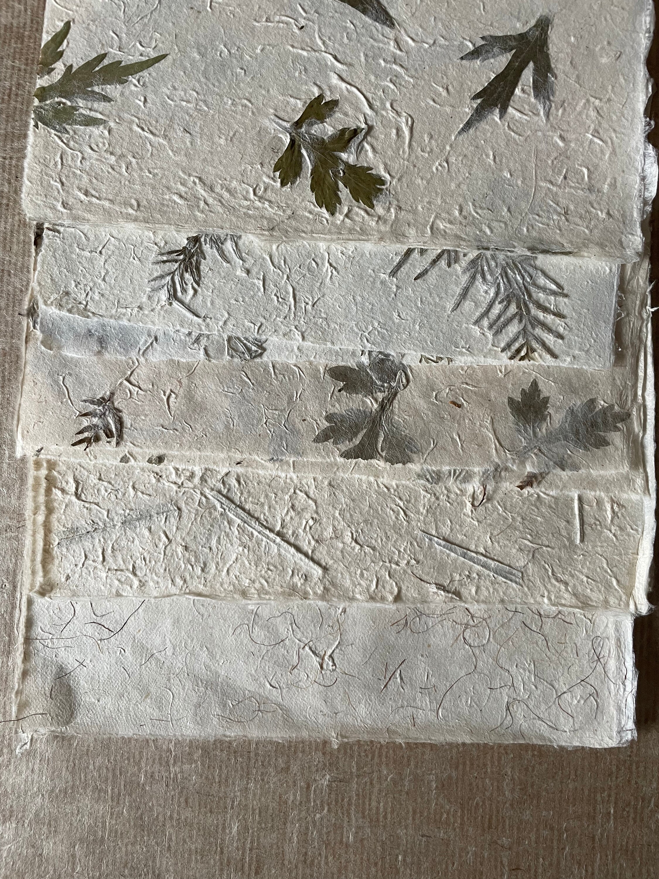 Full Sheets Leaf Paper: Handmade Himalayan Paper (20x30 Inches) - Etsy UK
