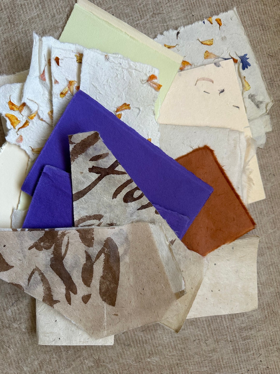 Scrap Pack, Petals & Lokta Paper Offcuts, Mixed Colours, Natural Tones ...