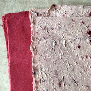 Rose and Onion, Small Pieces, Pink Plant Fibre Paper, Himalayan Onion ...