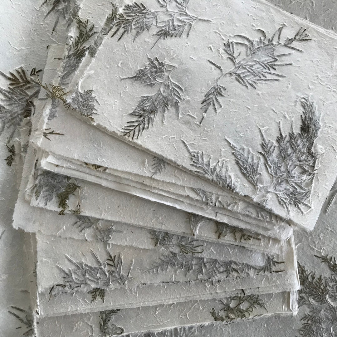 Conifer Half/full Sheets Leaf Paper, 20 X 30 Inches, Himalayan Natural ...