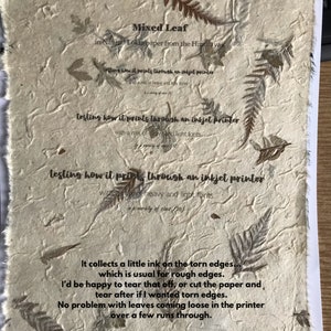 Mixed Leaf Full/half Sheets Leafy Papers, 20 X 30 Inches, Himalayan ...