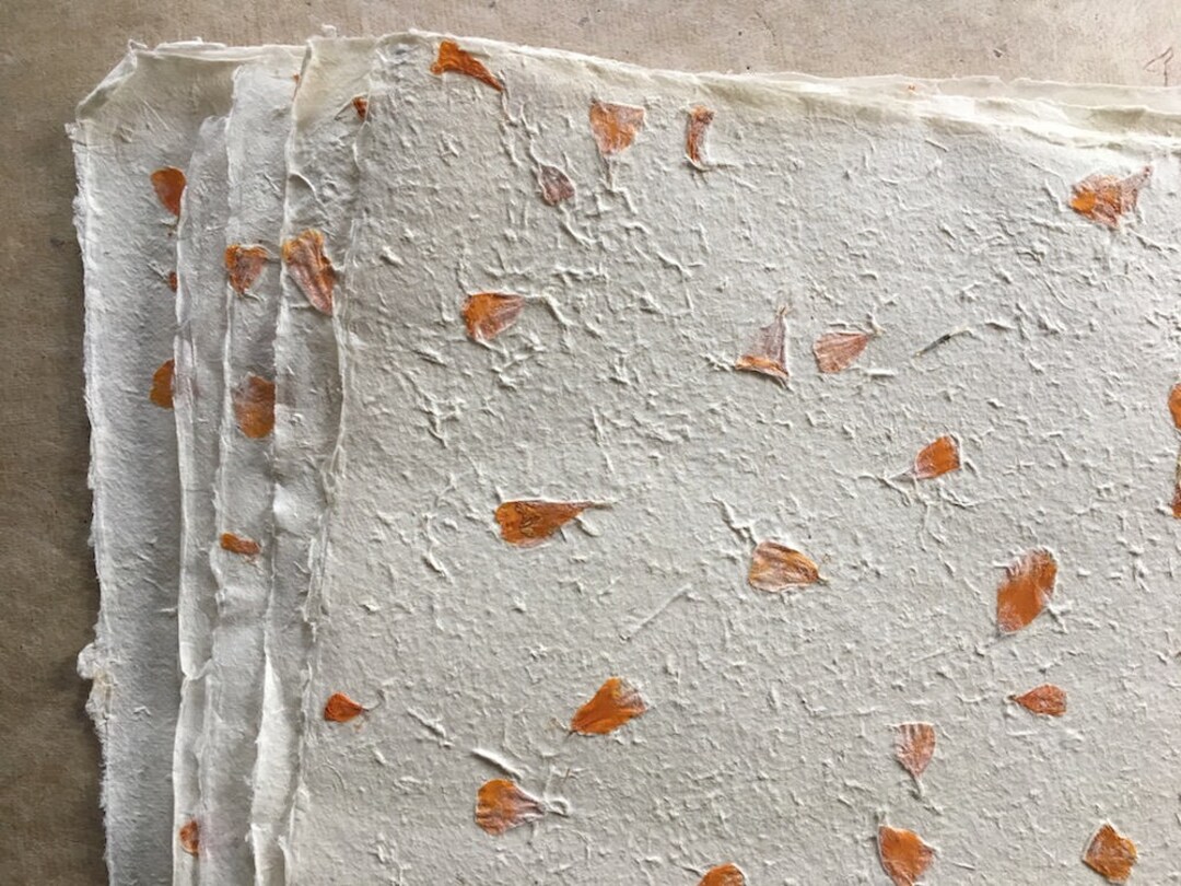 Orange Petal Paper: Handmade Indian Himalayan Paper (20x30 Inches) - Etsy