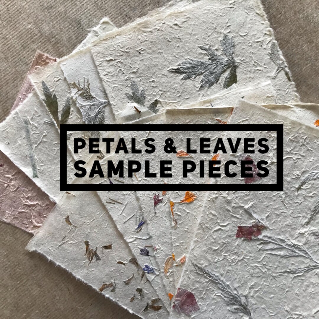 Himalayan Petal or Leaf Paper Sample Sheet: Lokta Paper (7.5x9.5 Inches ...