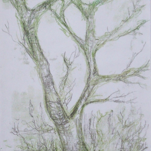Windswept Tree - Etsy