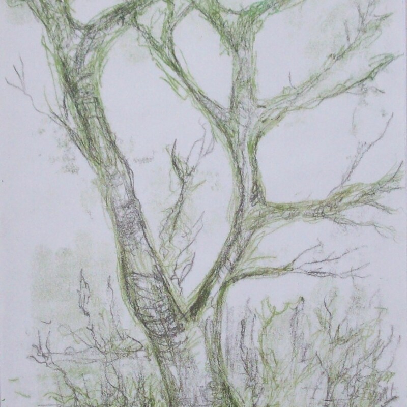 Windswept Tree - Etsy