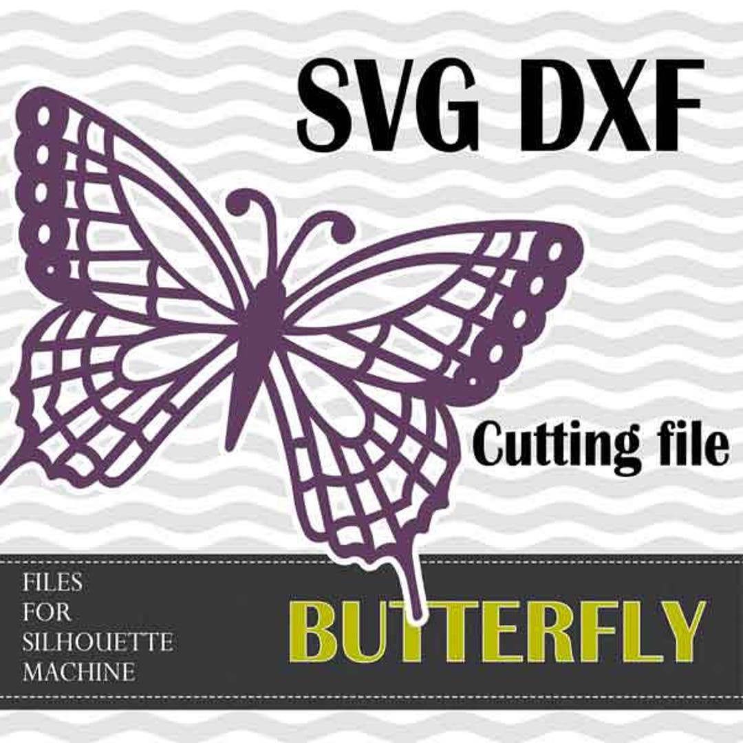 BUTTERFLY Design, SVG, DXF, Vinyl Cut Files, for Use With Silhouette ...