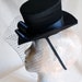 Burlesque Mini Top Hat,cocktail Hat With Rhinstone Veil,black Ladies ...