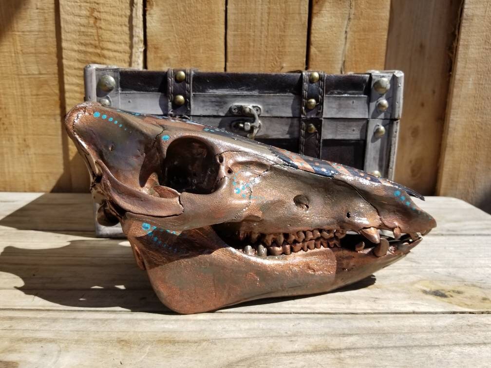 Hand Painted Pig Skull Copper Geometric | Etsy