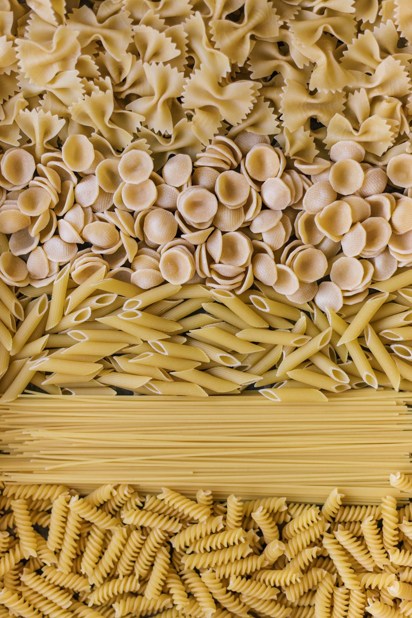 PRINTABLE "pasta for Foodies" Digital Download Photography Kitchen Wall ...