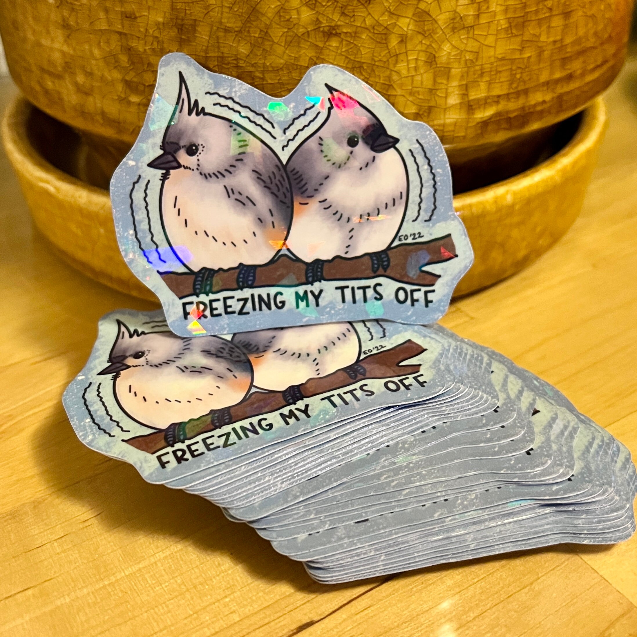 Sticker Freezing My Tts off Funny Birds Sticker - Etsy