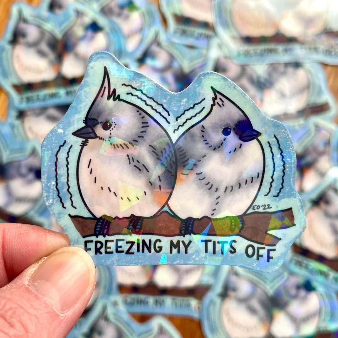Sticker - Freezing My T*ts off - Funny Birds Sticker - Titmouse - Etsy