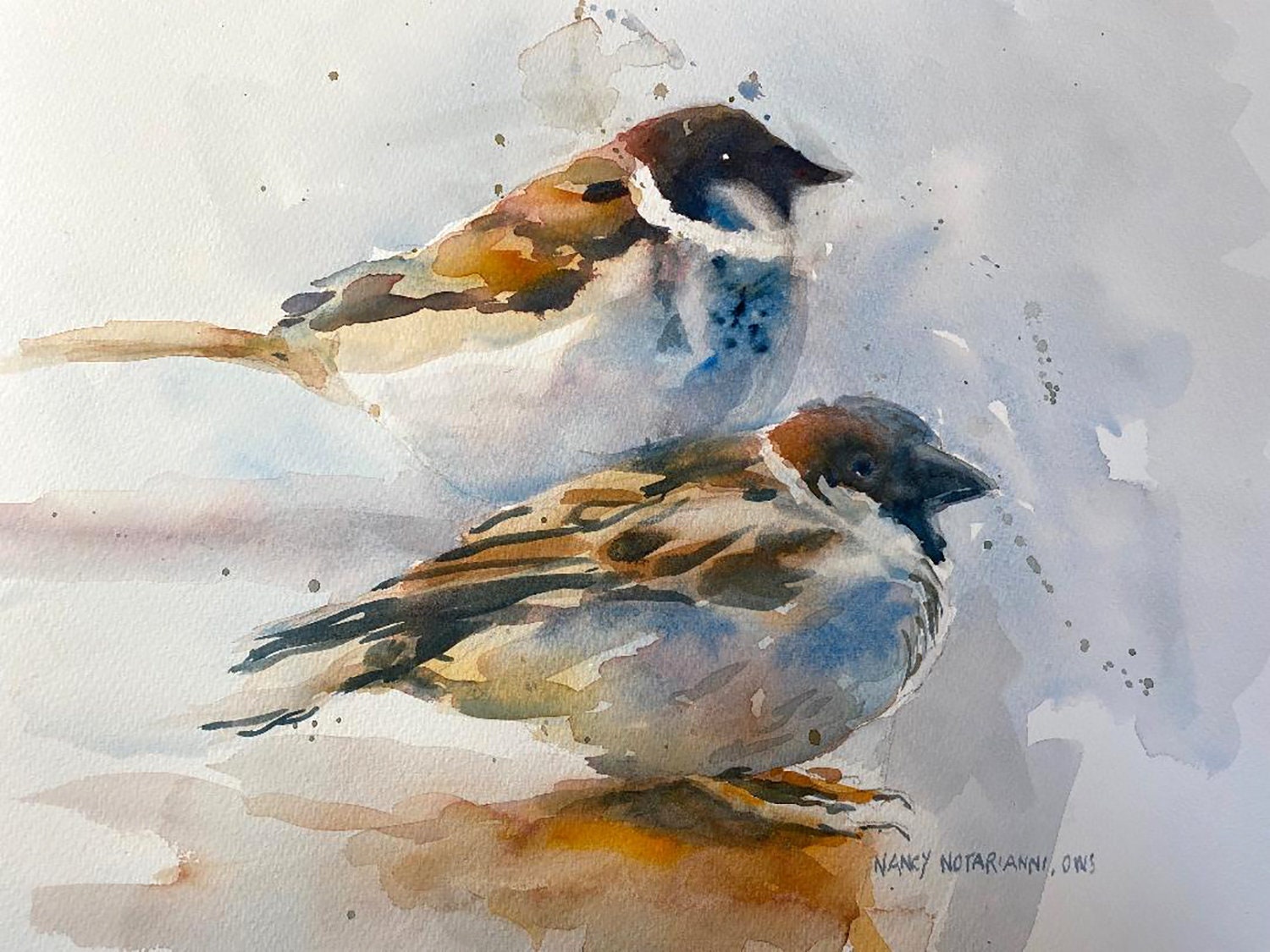 Baby Birds Original Watercolor Painting - Etsy