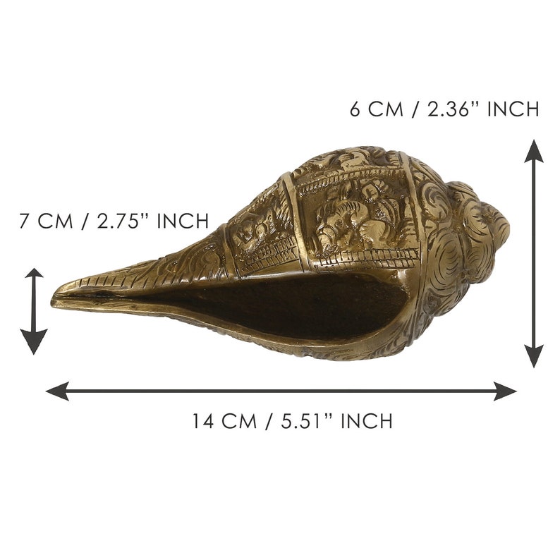 Brass Shank/conch/shell for Wall Hanging & Table Showpiece, Statue ...