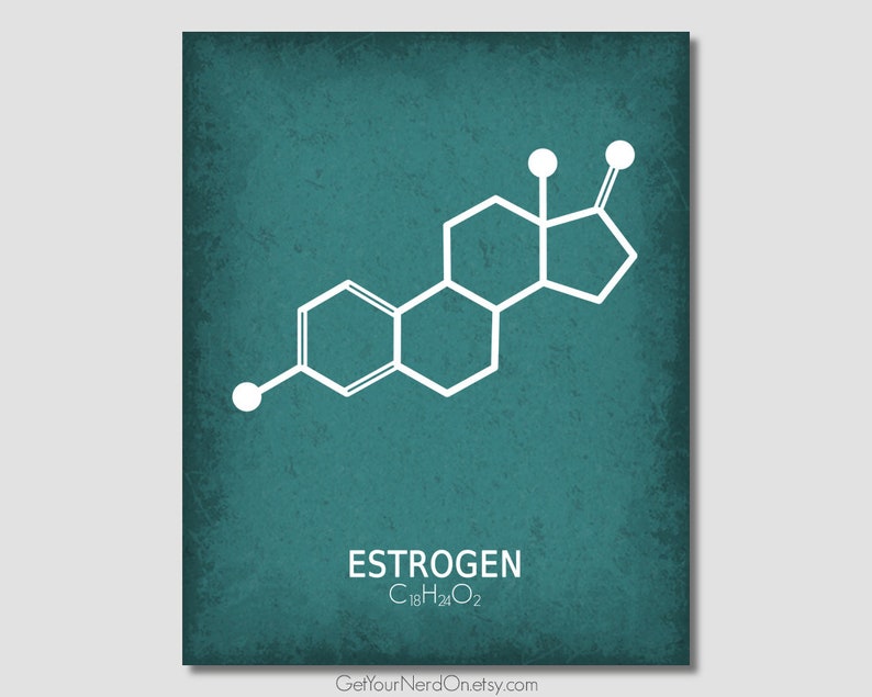 Estrogen Molecule Science Art Poster Biology Nerd Print - Etsy