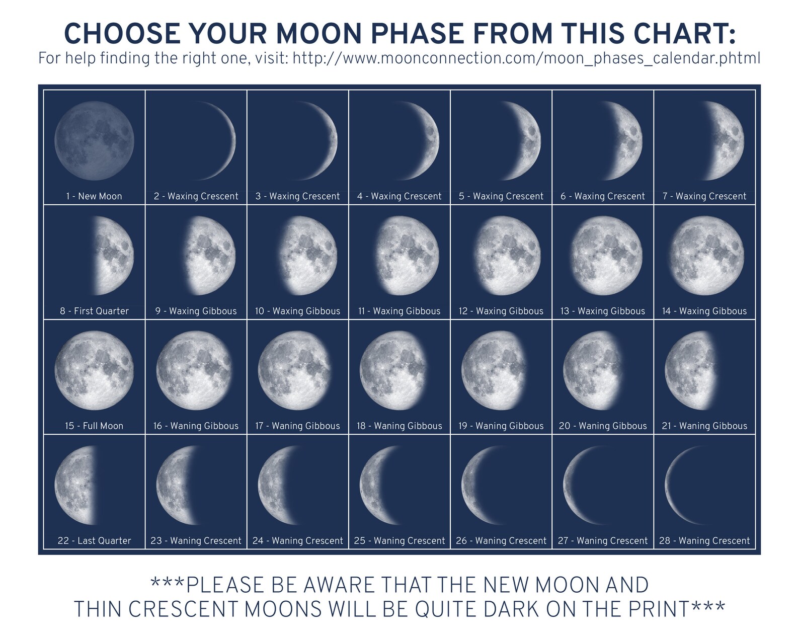 Personalized Phases of the Moon Date Poster Unique Astronomy | Etsy